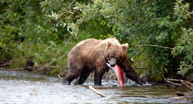 The Raw Beauty of Alaska - Select Traveler | The National Magazine for ...